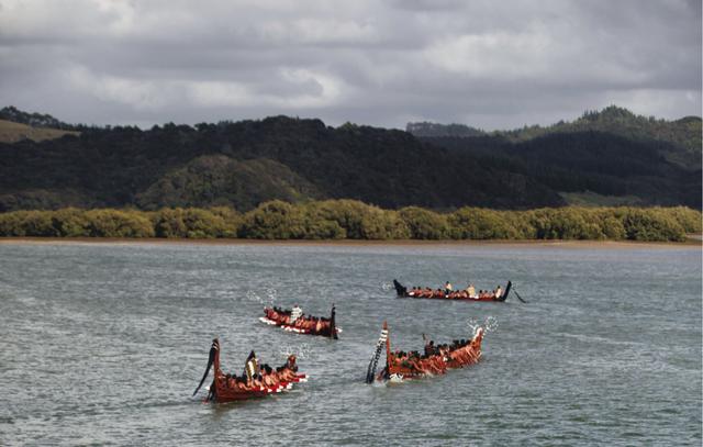 Tohorā - Sustainable Seas
