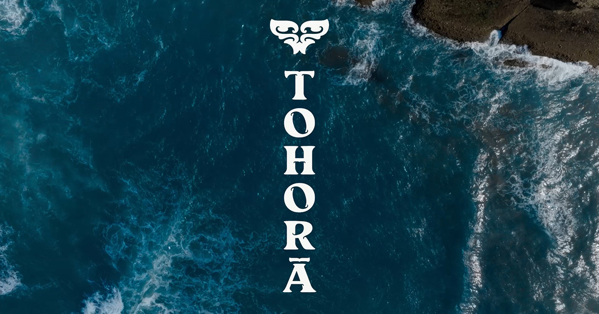 Te Ao Māori - Tohorā